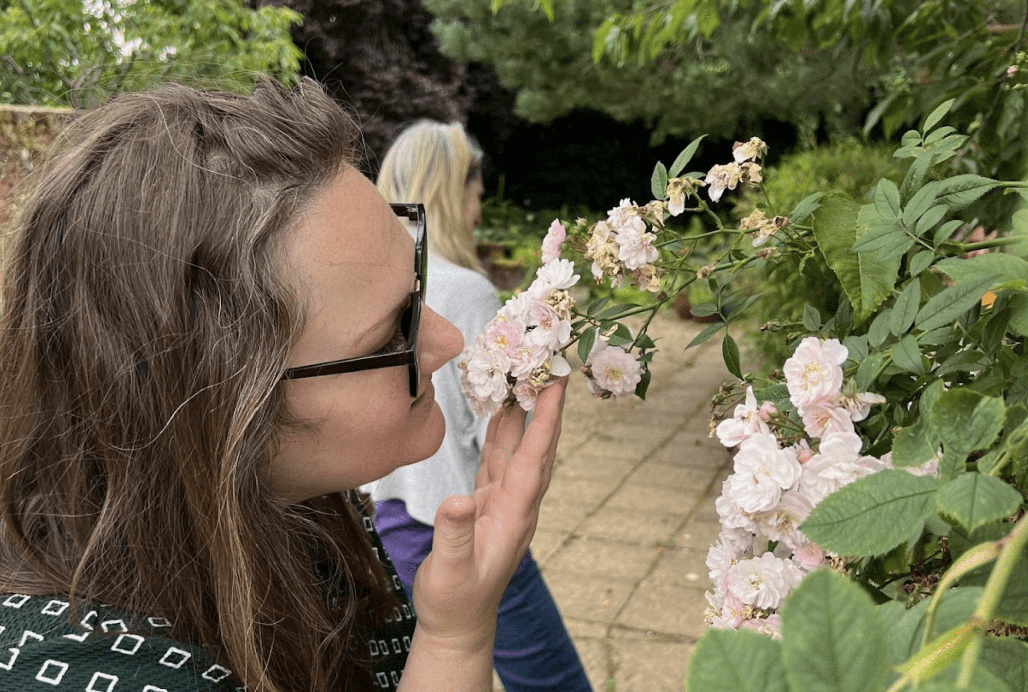 Nature Mindfulness: Activities for Practitioners to Engage with Participants - Root in Nature